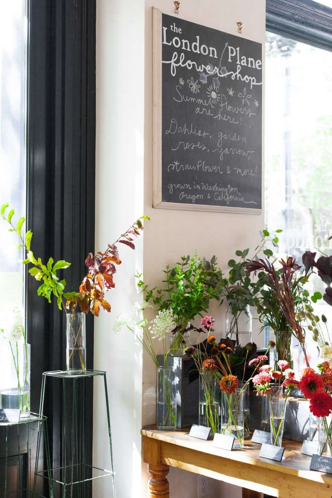 The Flower Shop at Seattle's London Plane - Gardenista