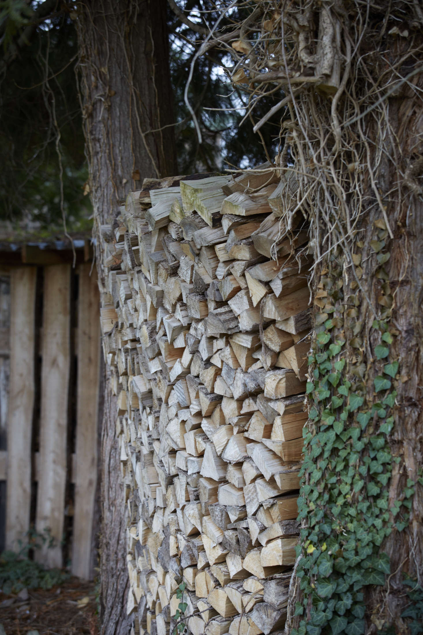 The Well-Kept Woodpile: 10 Tips to Stack and Care for Firewood Outdoors ...