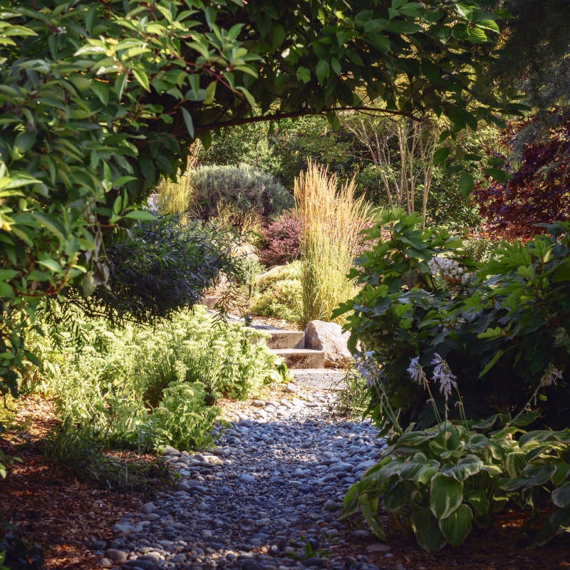 Old Chaser Farm: A Seattle Chef's Garden on Vashon Island, Washington ...
