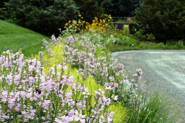 Unconventional Wisdom: 8 Revolutionary Ideas for Your Garden from ...