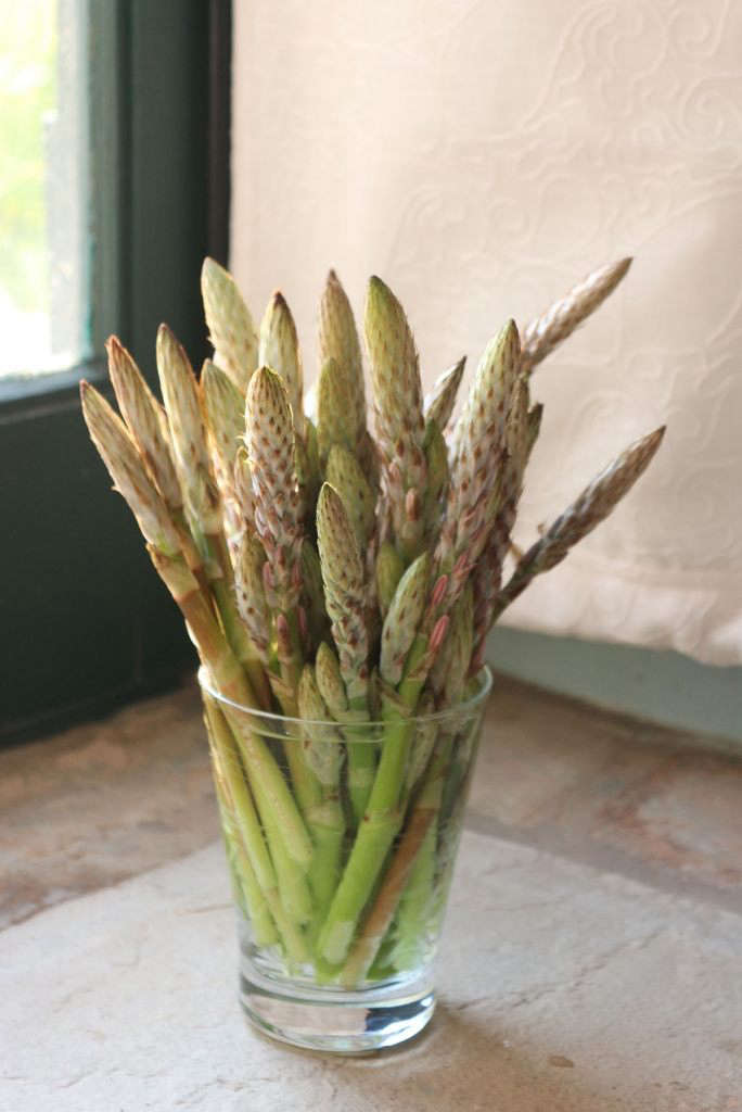 Calling All Foragers: Wildcrafting Holidays in South Africa, from Low ...