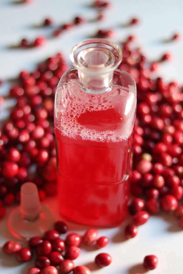 Festive Recipes: 5 Irresistible Cranberry Cocktails - Gardenista