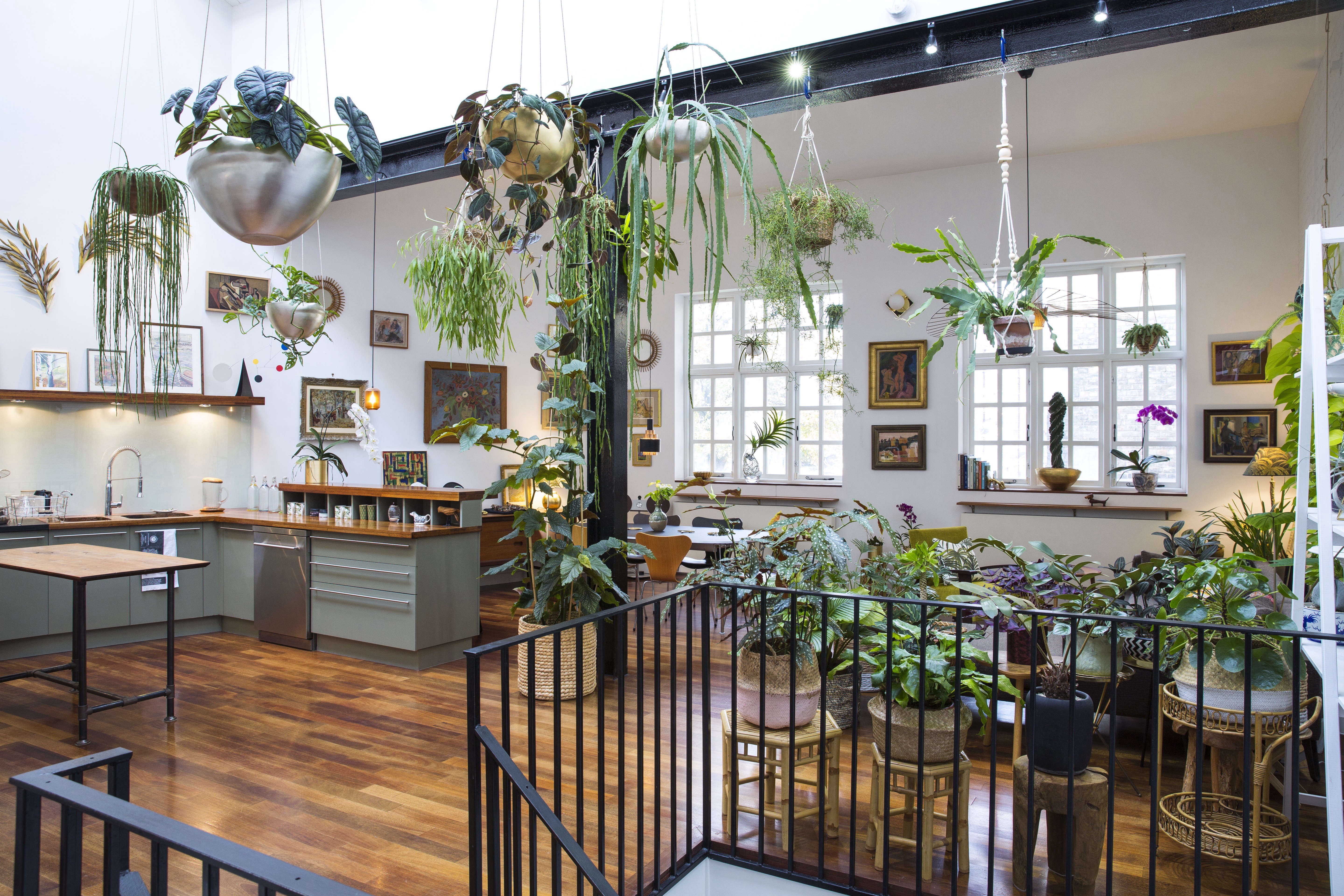 Jamie's Jungle: At Home with Houseplants in London - Gardenista