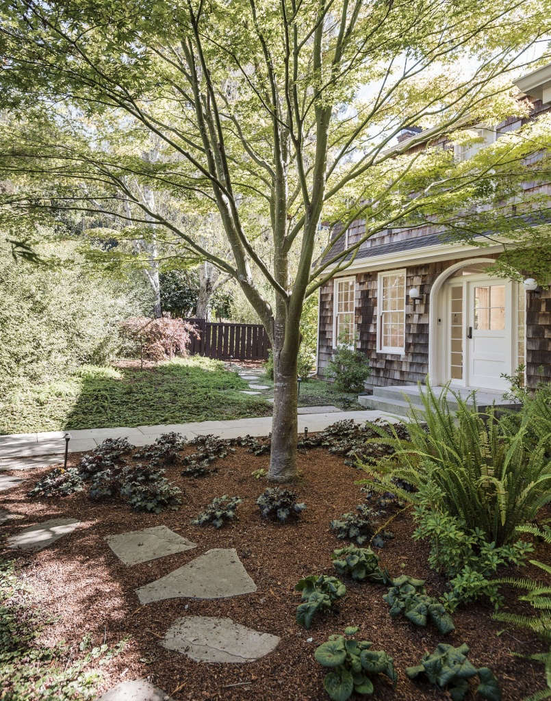 Announcing Our New Guide to Ground Covers - Gardenista