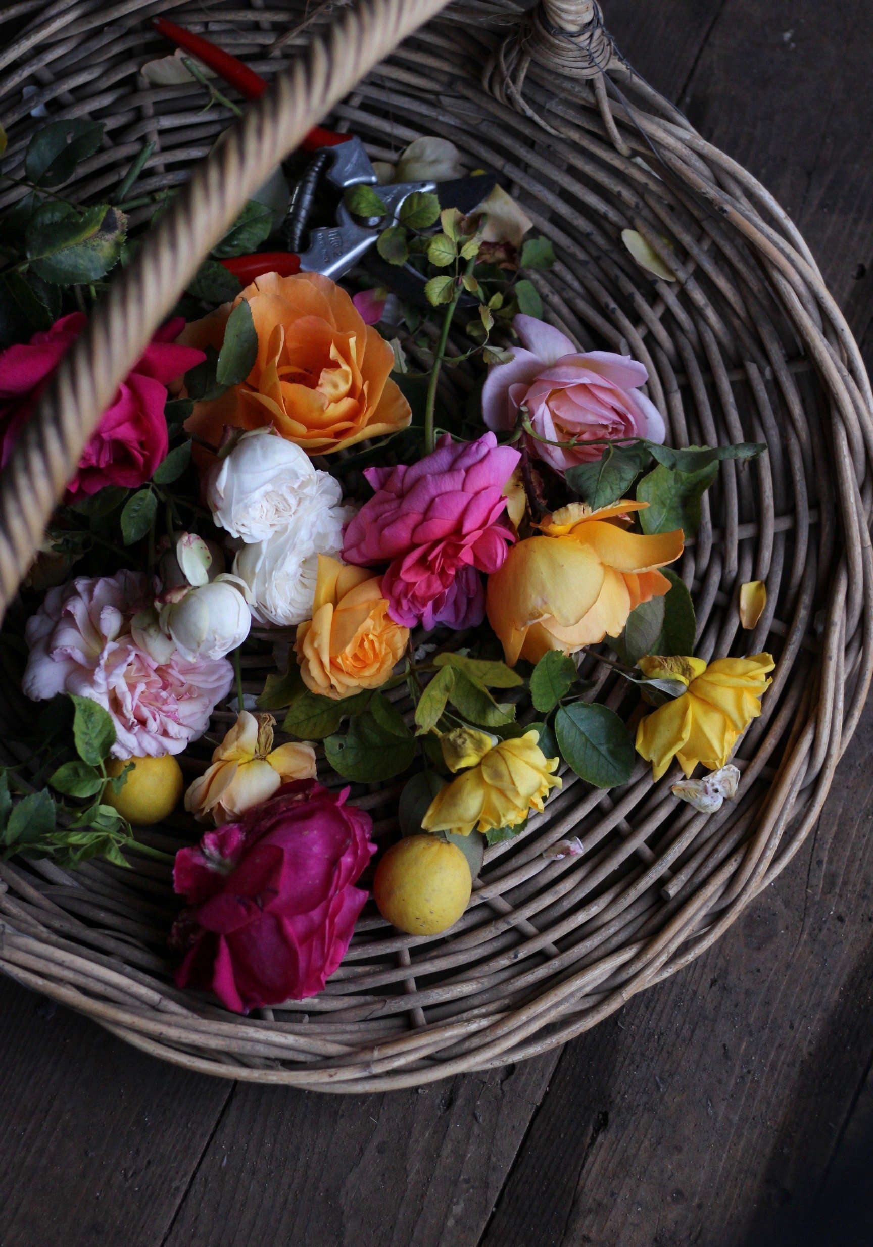Expert Advice: 8 Best Garden Roses for Cutting, from a Boutique Grower ...