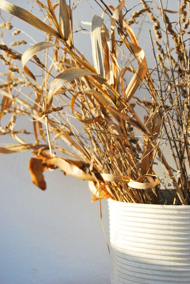Dried Flowers: 7 Ideas for Grasses, Seedpods, and Branches - Gardenista