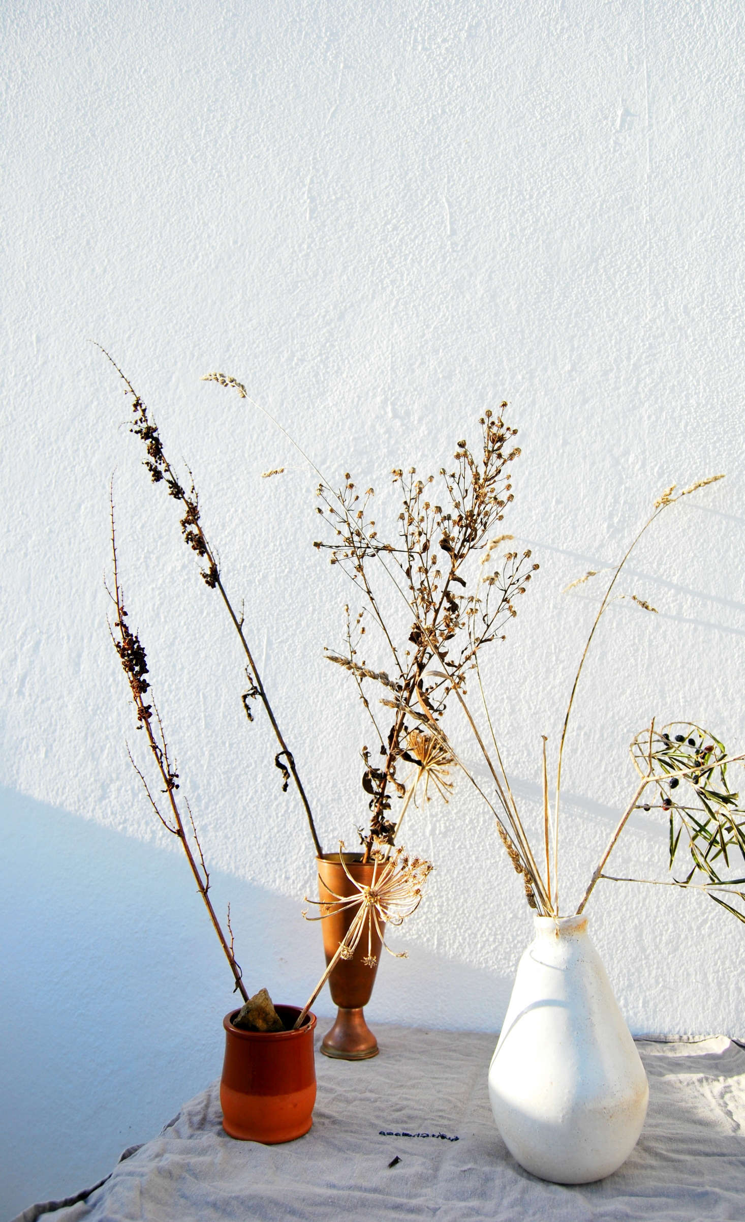 Dried Flowers: 7 Ideas for Grasses, Seedpods, and Branches - Gardenista