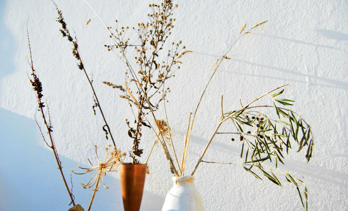 Dried Flowers: 7 Ideas for Grasses, Seedpods, and Branches - Gardenista