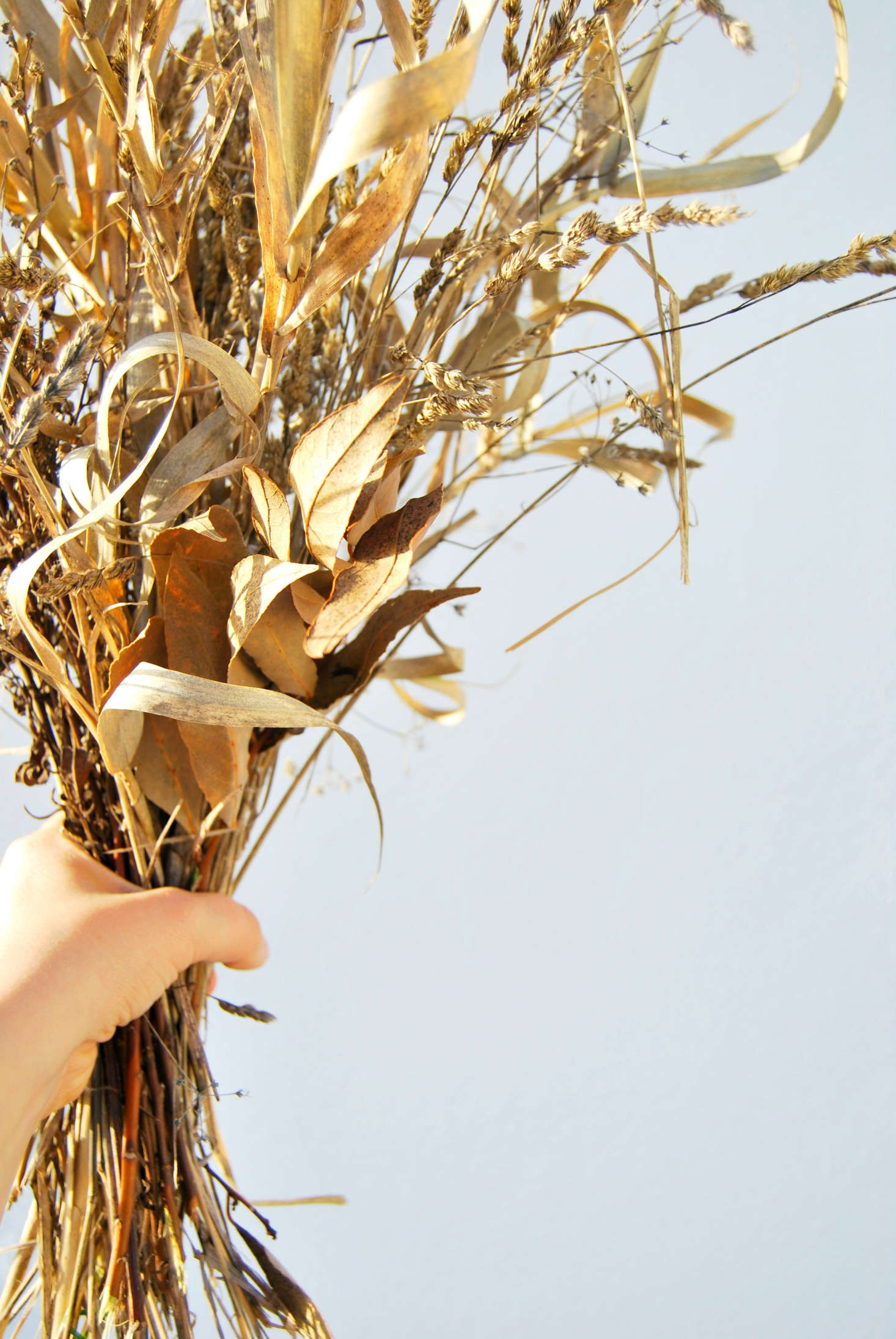 Dried Flowers: 7 Ideas for Grasses, Seedpods, and Branches - Gardenista