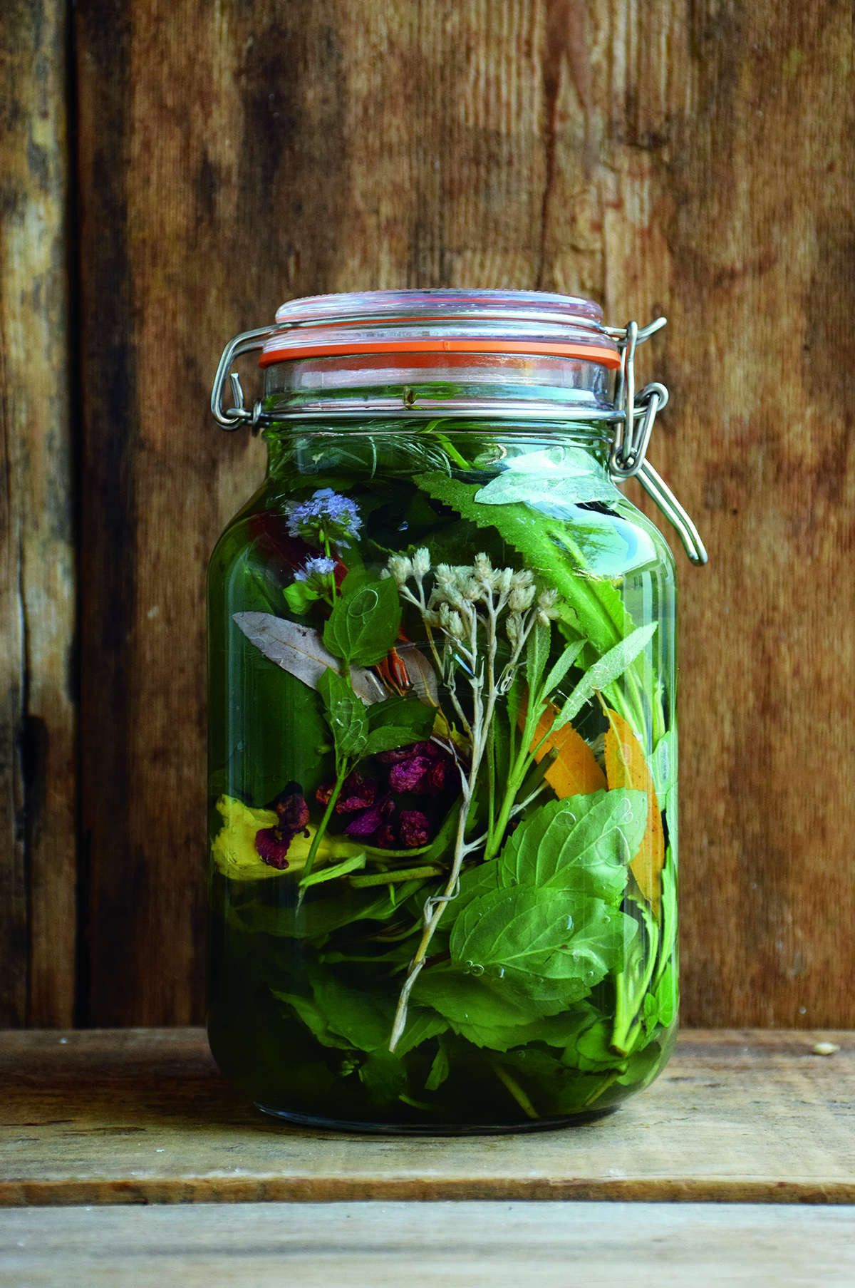 The Wildcrafting Brewer: A Guide for Botanical Alchemists - Gardenista