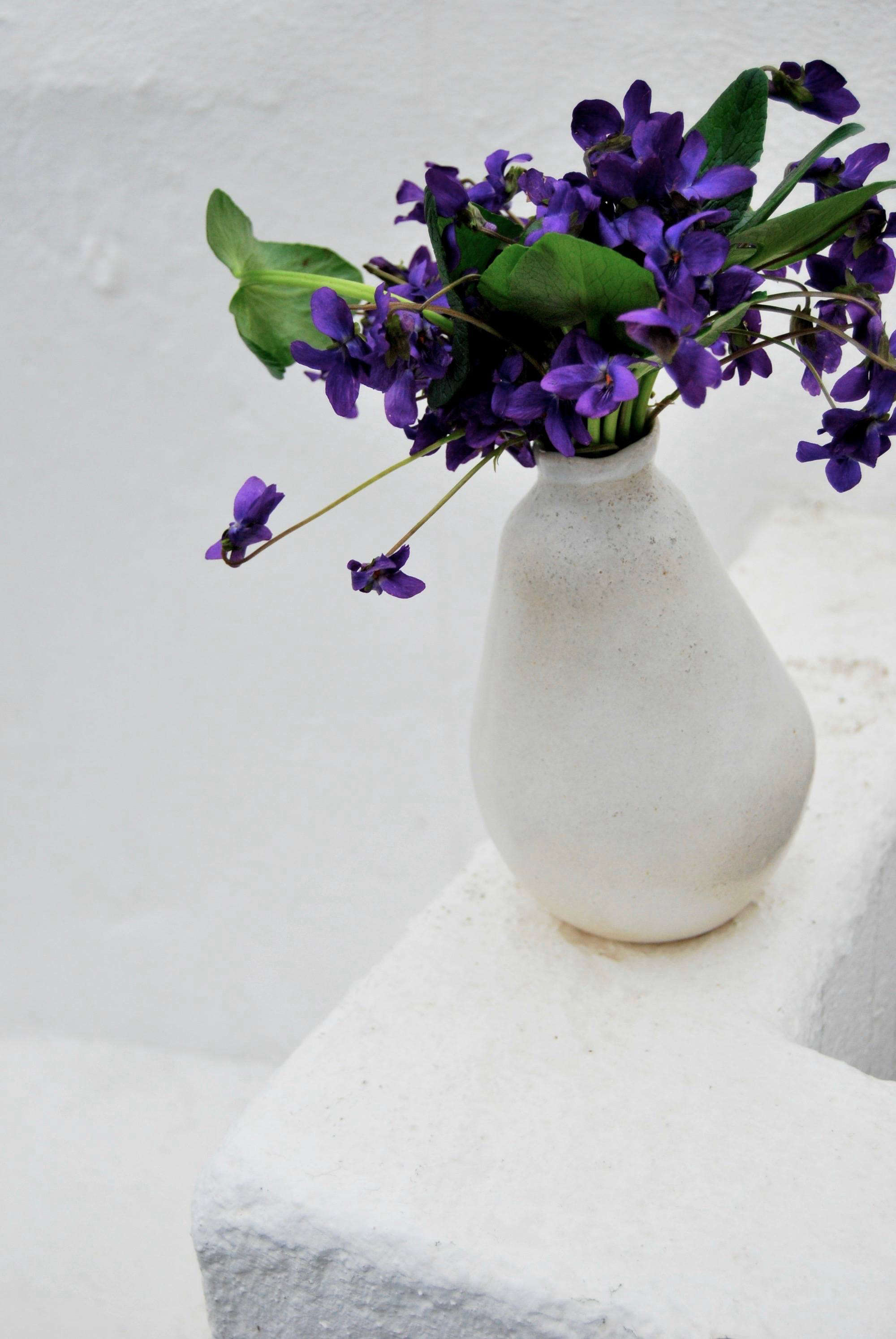 Wild Violets: Rethinking Eliza Doolittle's Favorite Flower - Gardenista