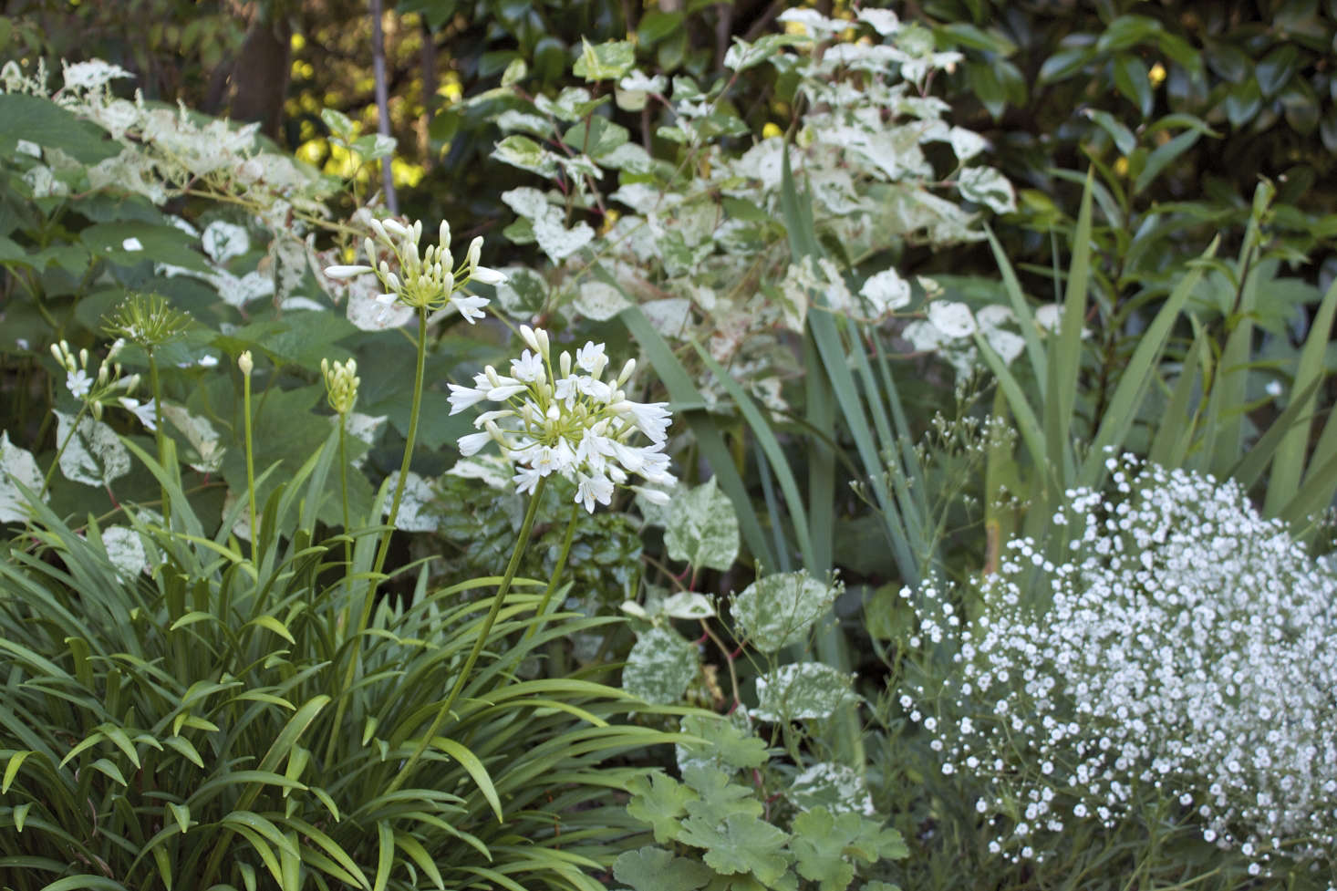 Required Reading: The Less is More Garden - Gardenista