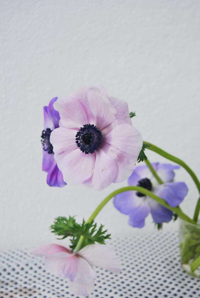 Rethinking Anemones: Arranging a Delicate Spring Flower - Gardenista