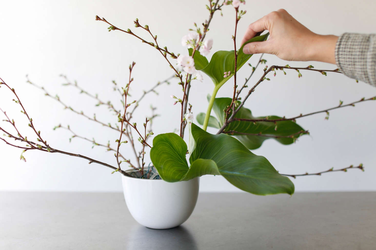 Flower Arrangements 101: A Crash Course for Easy and Elegant Florals ...