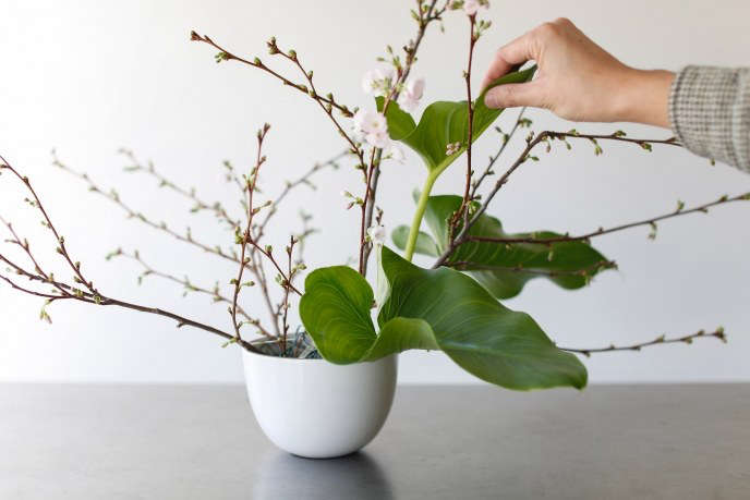 Flower Arrangements 101: A Crash Course for Easy and Elegant Florals ...