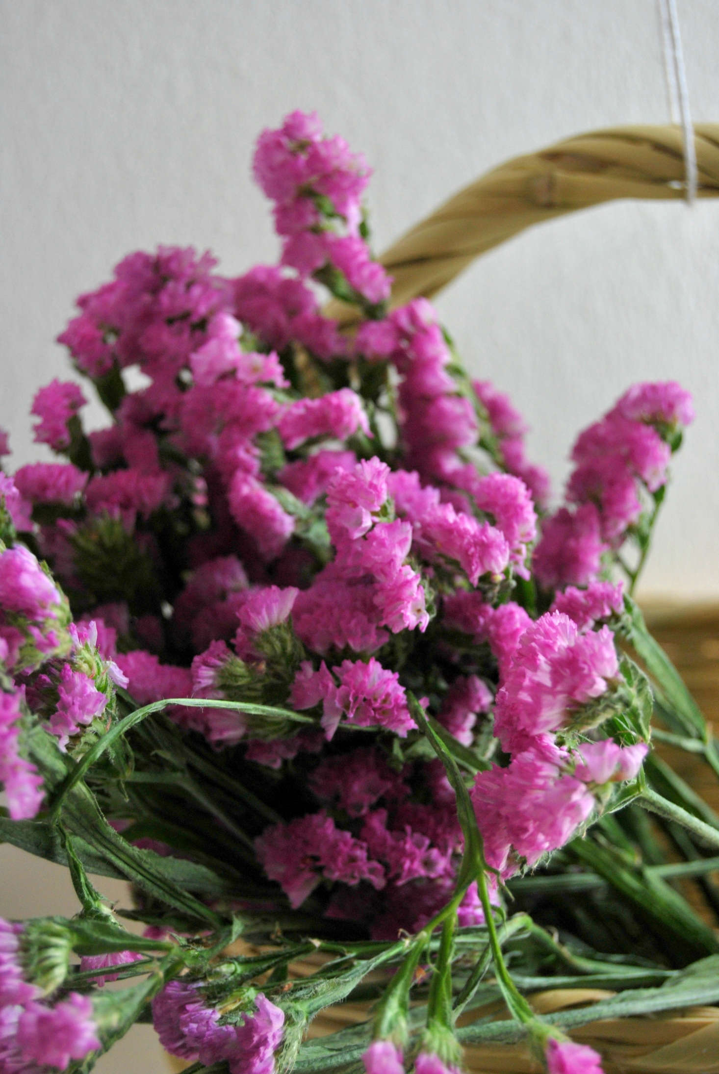 Rethinking Statice: A 1980s Dried Flower Goes Minimalist - Gardenista