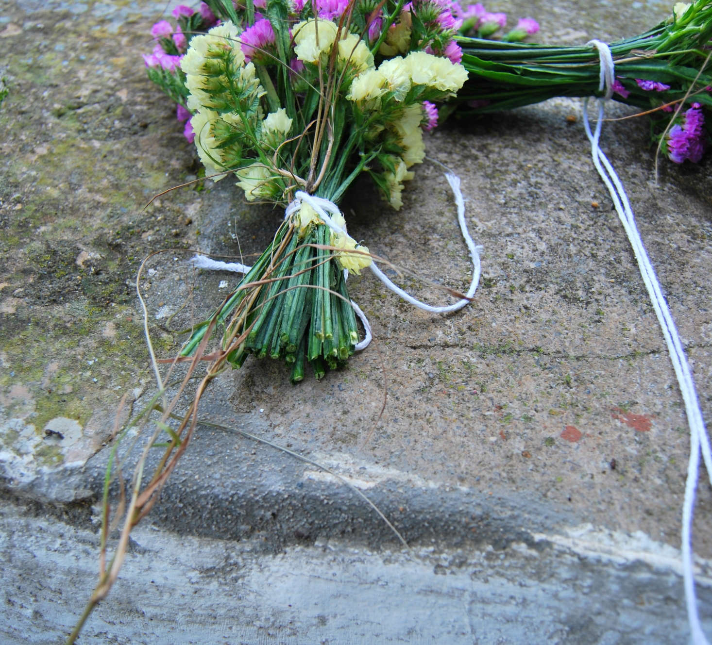 Rethinking Statice: A 1980s Dried Flower Goes Minimalist - Gardenista