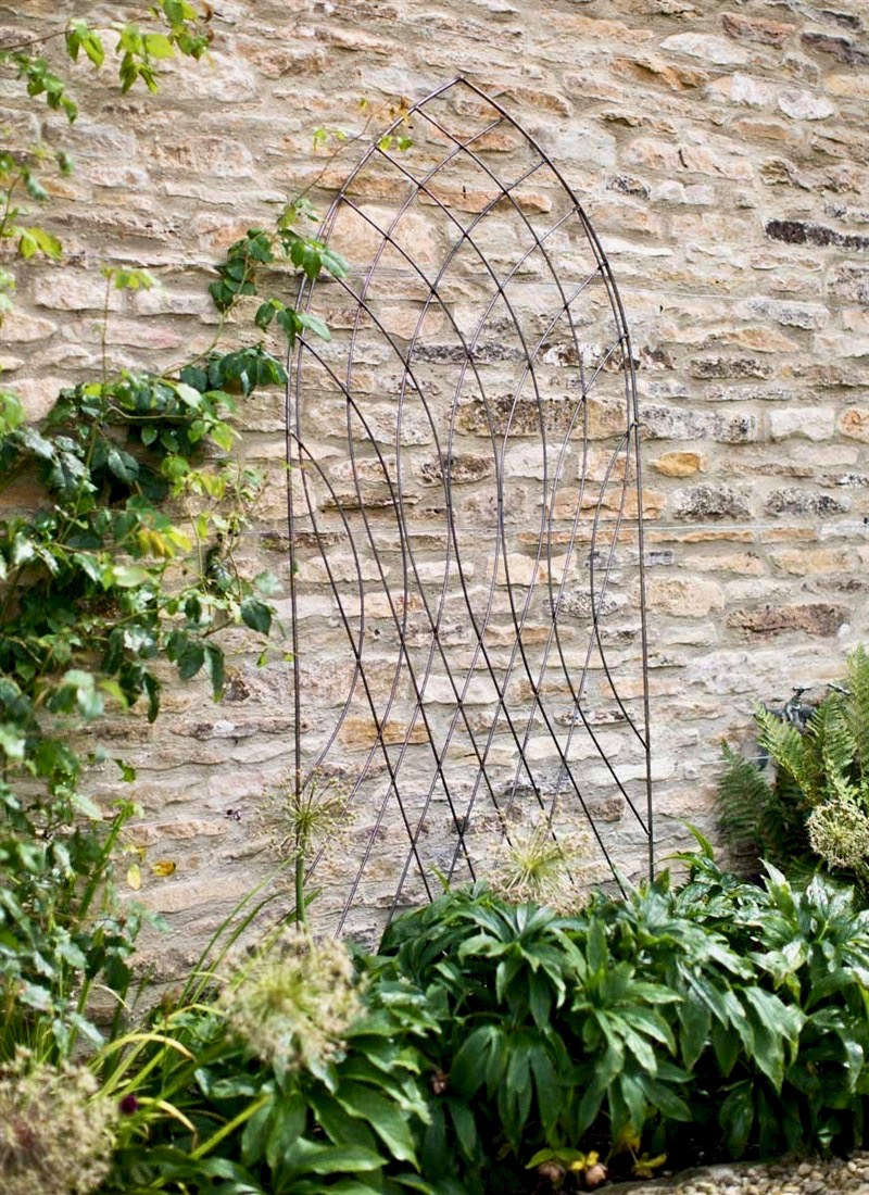 Everything You Need to Know About Trellises - Gardenista