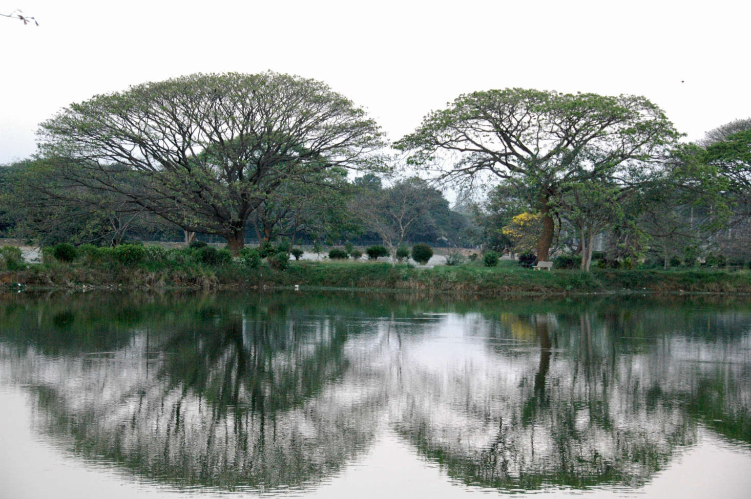 100 Gardens to Visit Before You Die - Gardenista