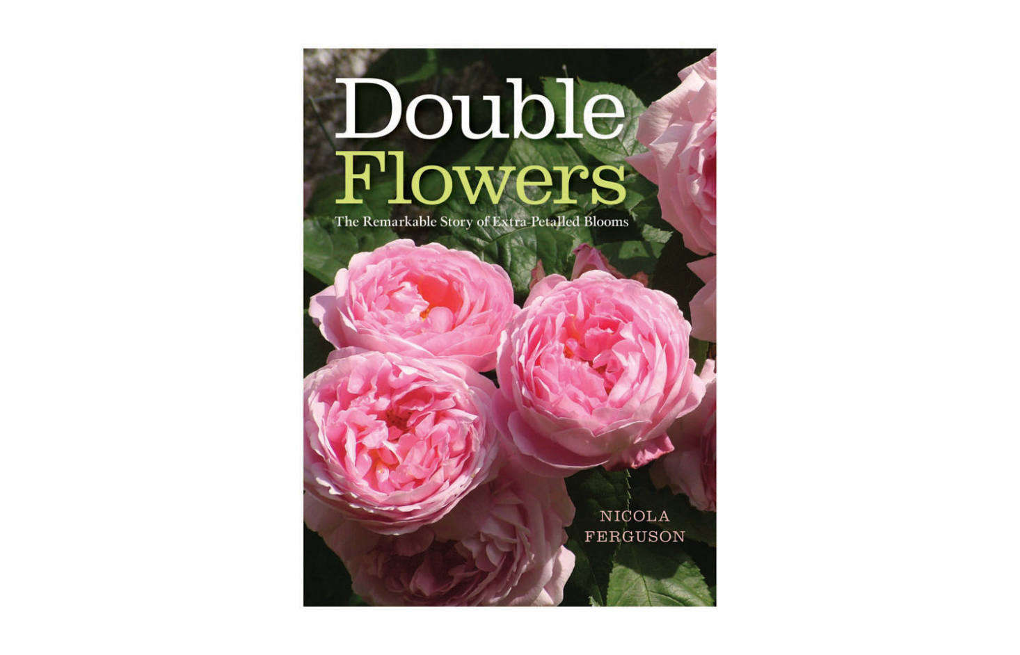 Rethinking Double Flowers: Back in Love with 'Flower Show' Plants ...