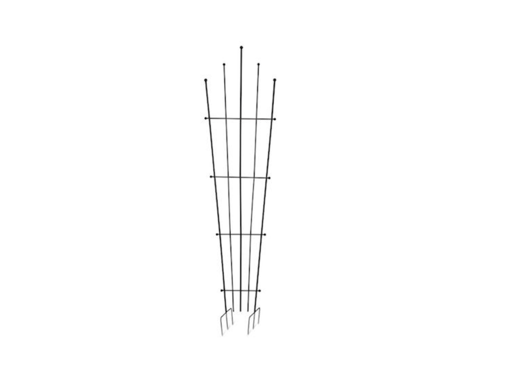 Everything You Need to Know About Trellises - Gardenista