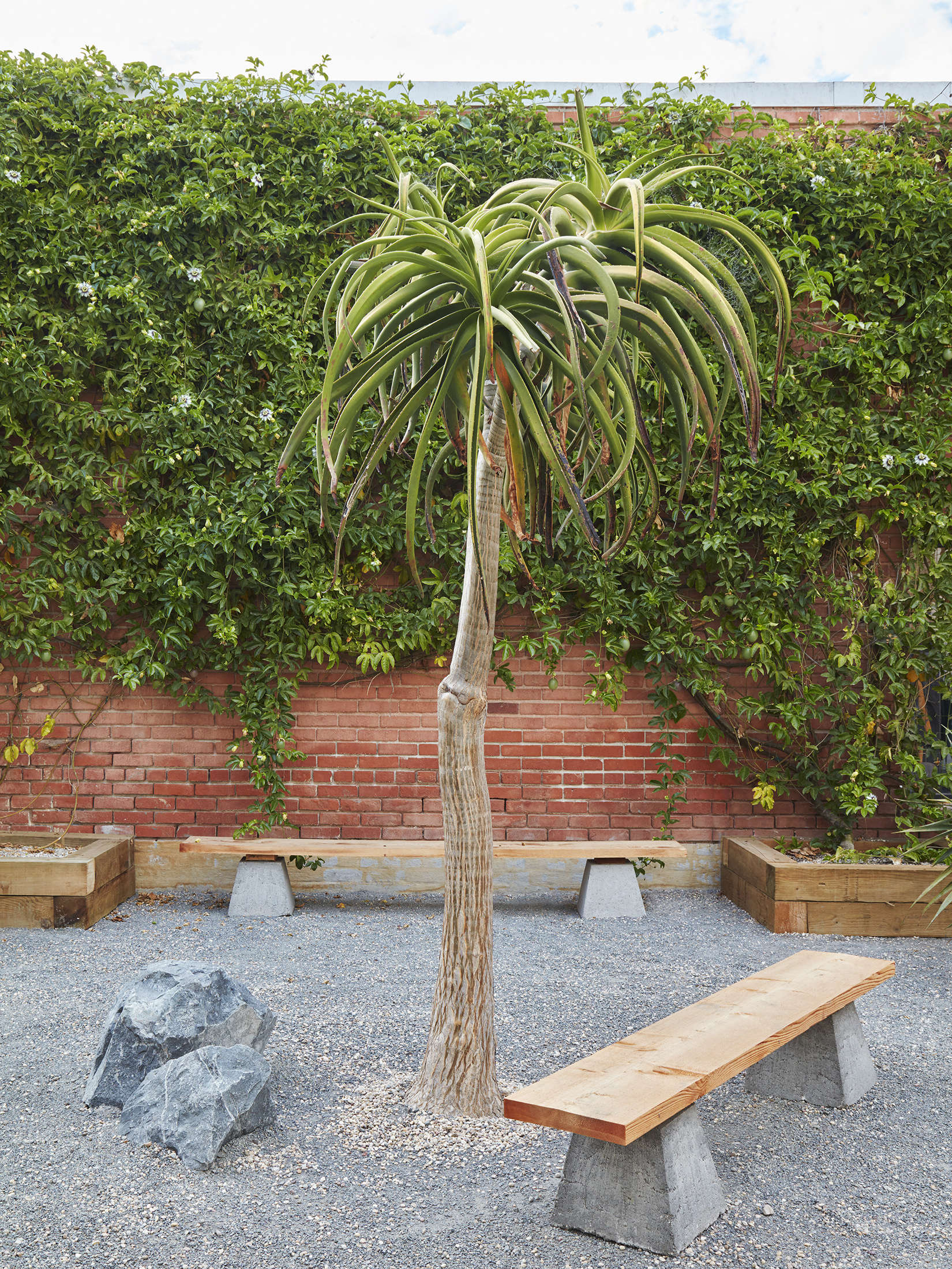 Landscape Architecture Design for a Desert Climate: A Zen Garden in ...