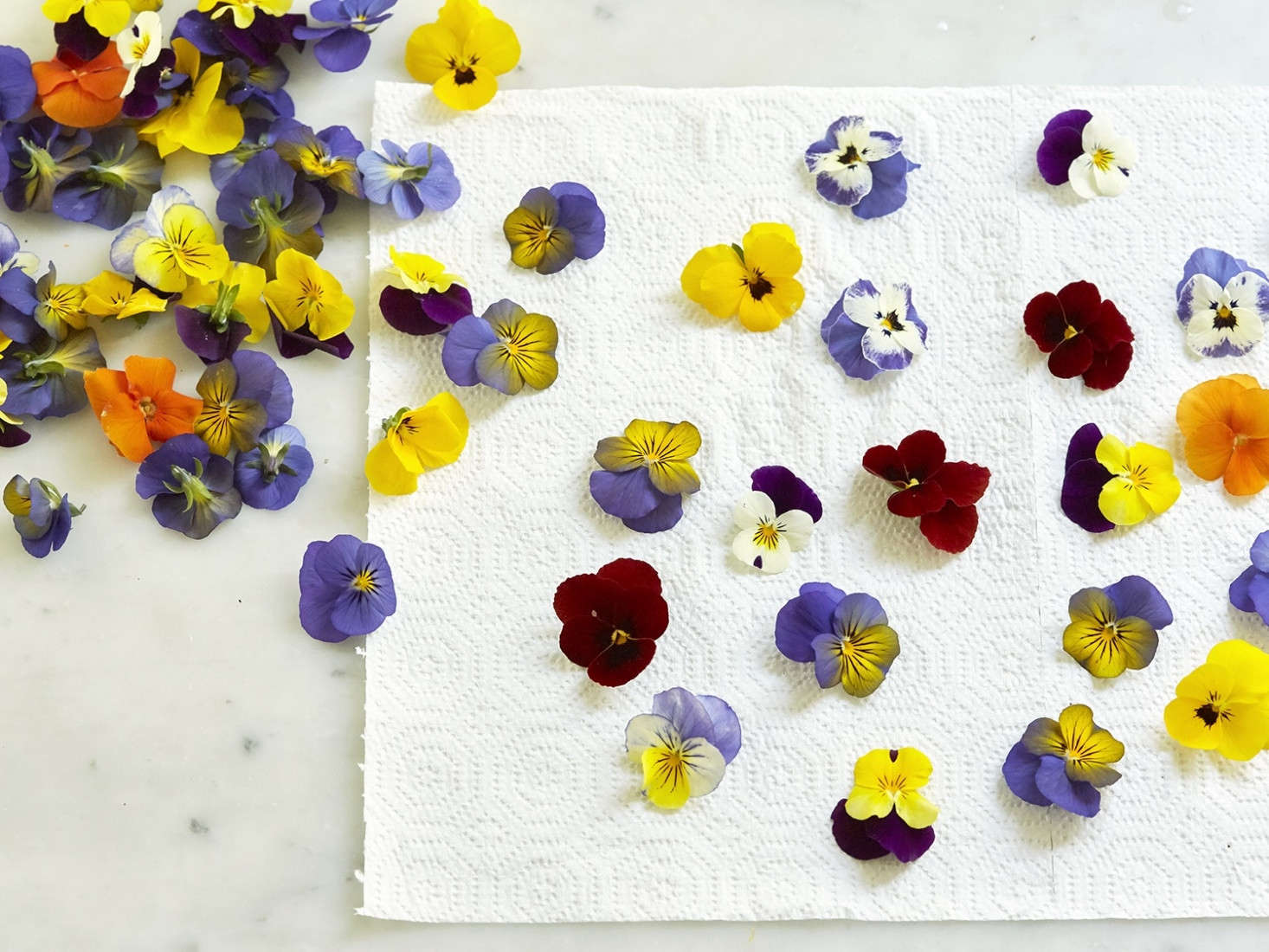 Tisanes: Easy Teas You Can Grow, with 7 Tips from Emily Erb of Leaves ...