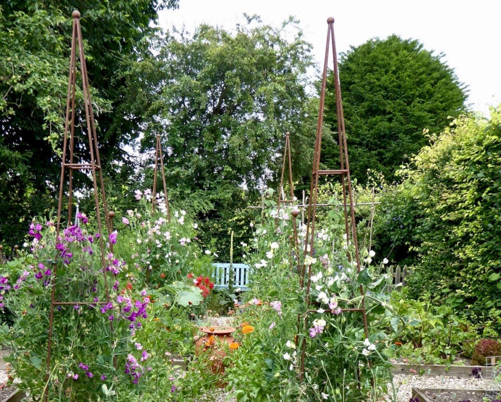 10 Things to Do in the Garden in June - Gardenista