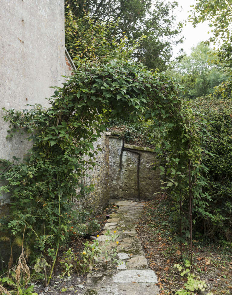 Everything You Need to Know About Arbors - Gardenista