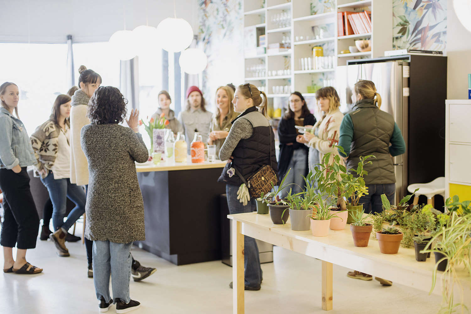 Plant Swaps: How to Trade Houseplants, Cuttings, Seeds