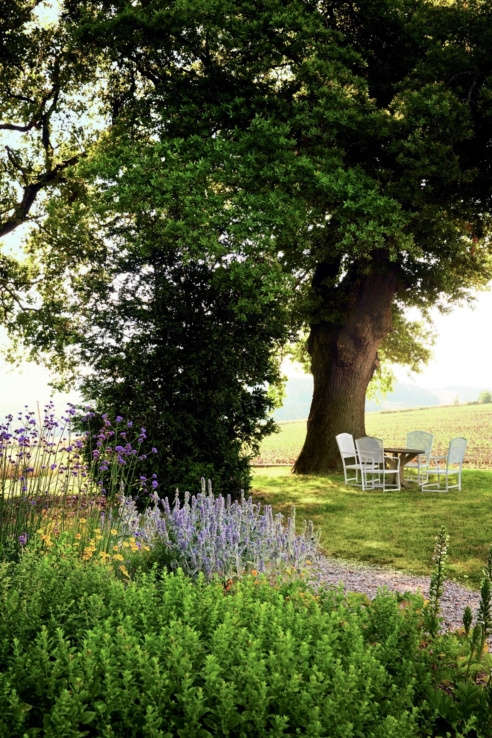 Dine Outdoors Like a French Family: 12 Ideas to Steal - Gardenista