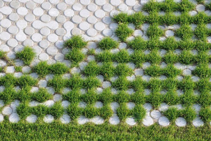 Grass Block Pavers: Everything You Need to Know for a Driveway
