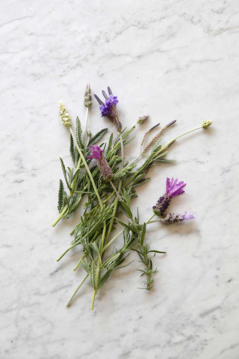 Everything You Need to Know About Lavender (Plus 5 Kinds to Grow ...