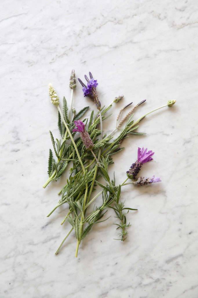 Everything You Need to Know About Lavender (Plus 5 Kinds to Grow ...