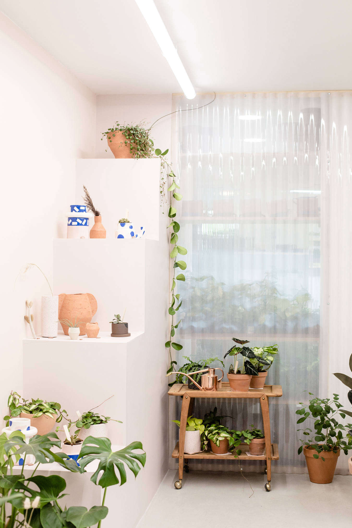 Leaf Shop Vegetal in Paris: Houseplants for Sale Canal St. Martin 10th ...