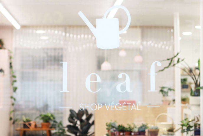 Leaf Shop Vegetal in Paris: Houseplants for Sale Canal St. Martin 10th ...