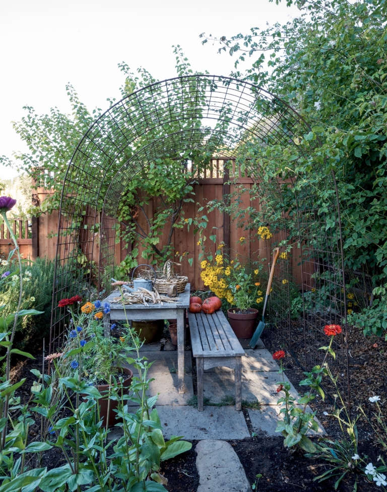 Everything You Need to Know About Arbors - Gardenista