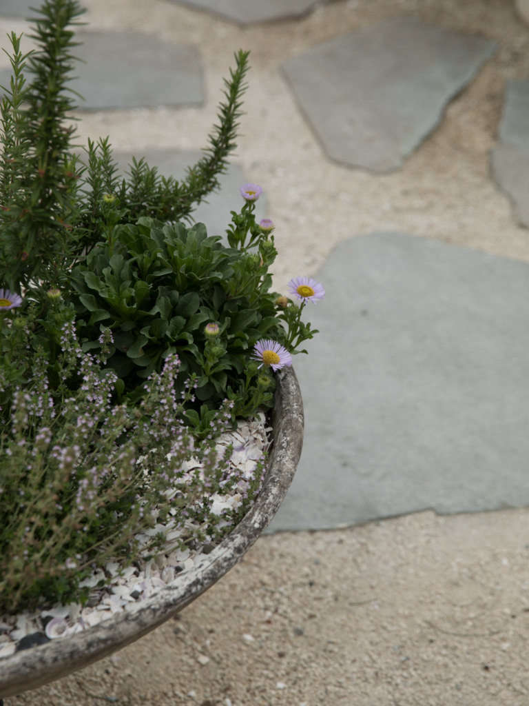 Landscaping: 10 Ideas for Practical Seashell Surfaces - Gardenista