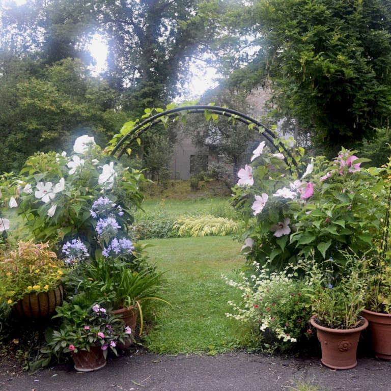 Everything You Need to Know About Arbors - Gardenista