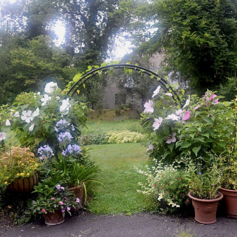 Everything You Need to Know About Arbors - Gardenista