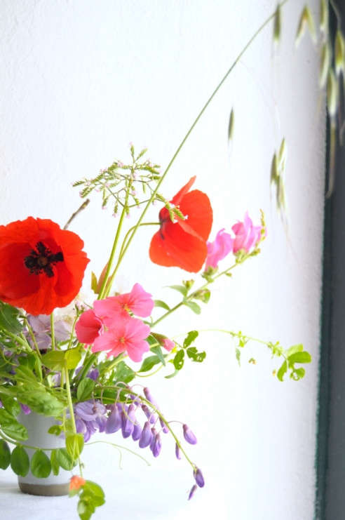 Rethinking Poppies: How to Make a Fragile Flower Last Longer - Gardenista
