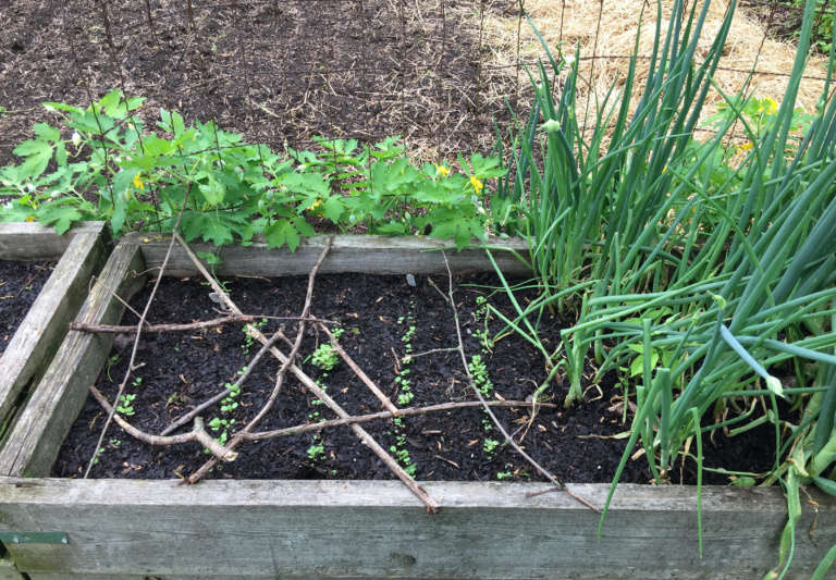 Jeanne Rostaing, Author at Gardenista