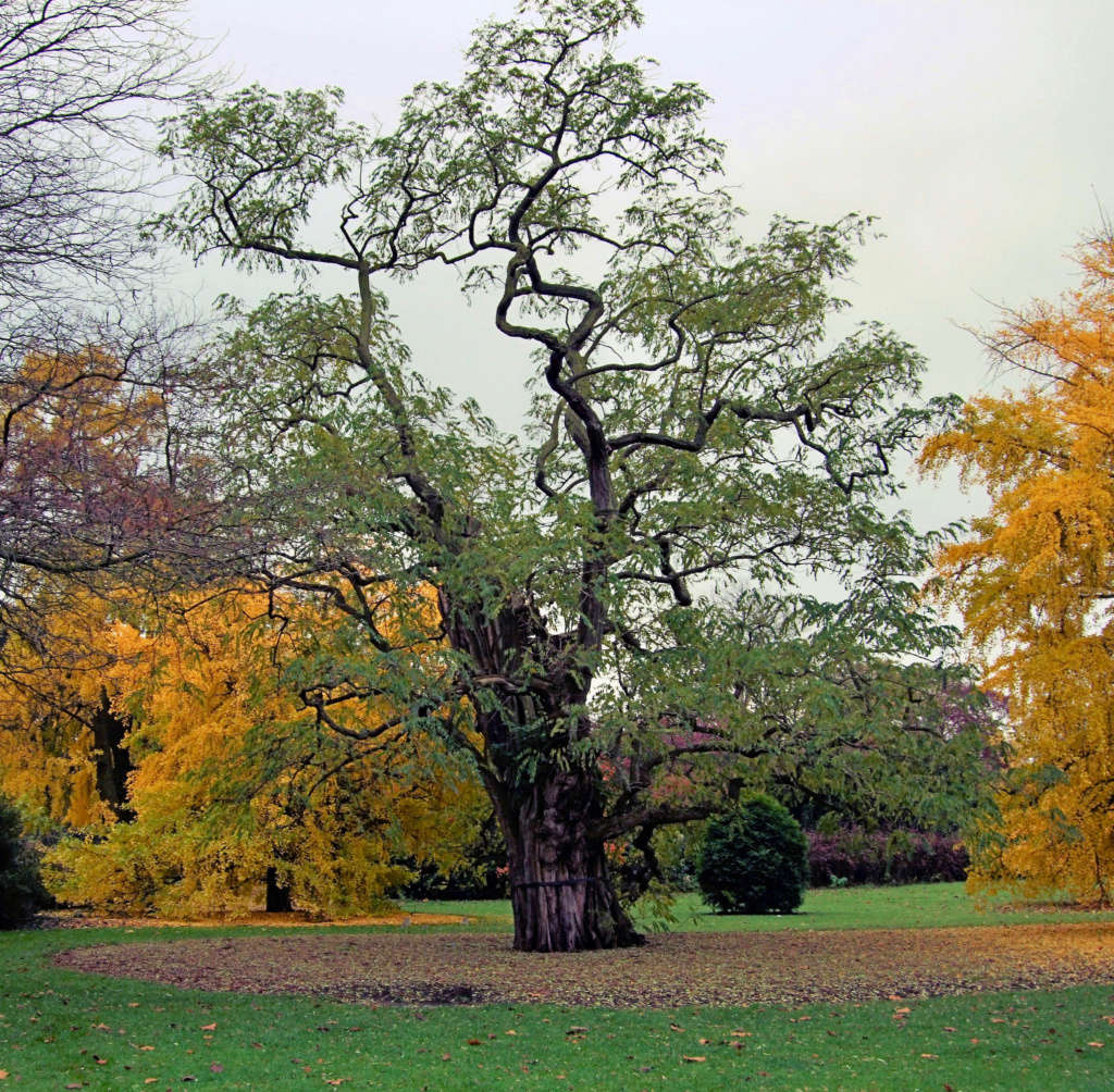 10 Ideas to Steal from the World's Biggest Botanical Garden - Gardenista