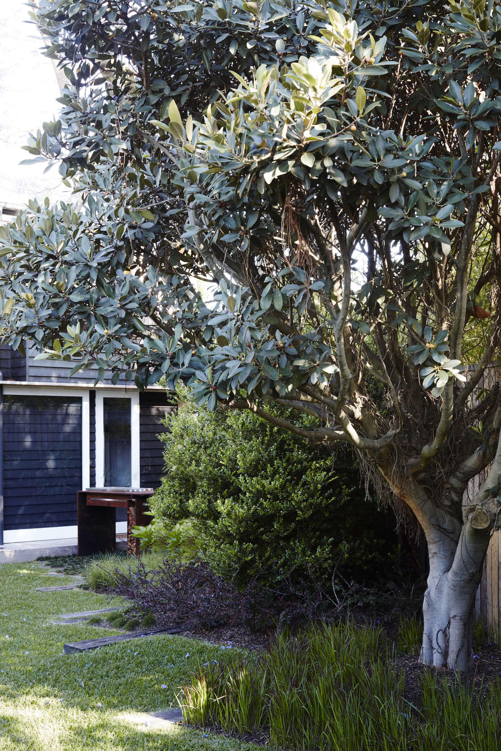 Australian Landscape Architect William Dangar at Home in Sydney ...