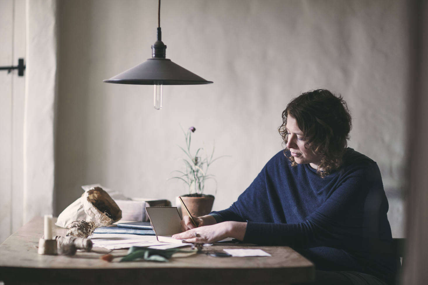 Cottage Gardens: Favorite Flowers, with Grace Alexander's Seeds ...