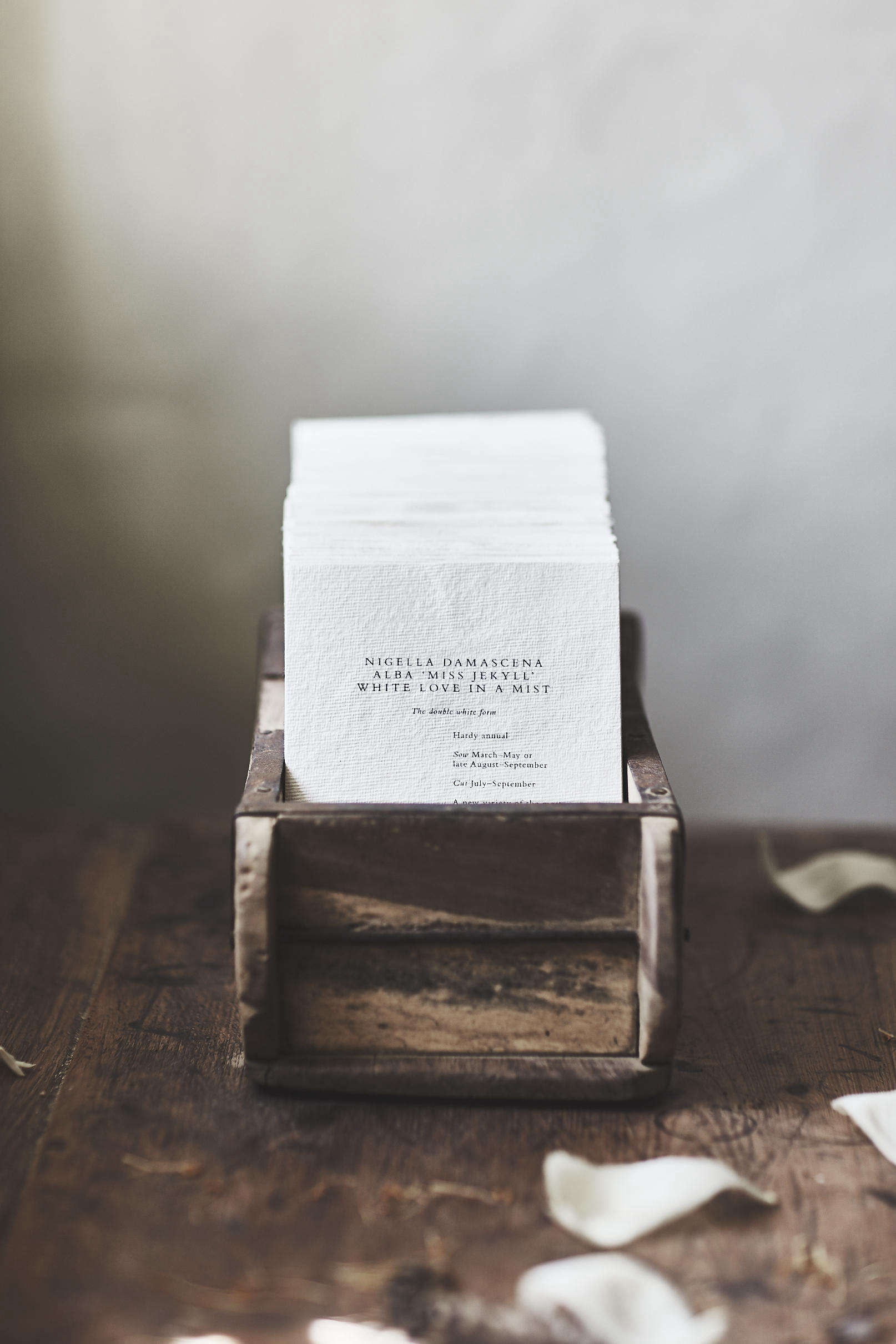 Cottage Gardens: Favorite Flowers, with Grace Alexander's Seeds ...