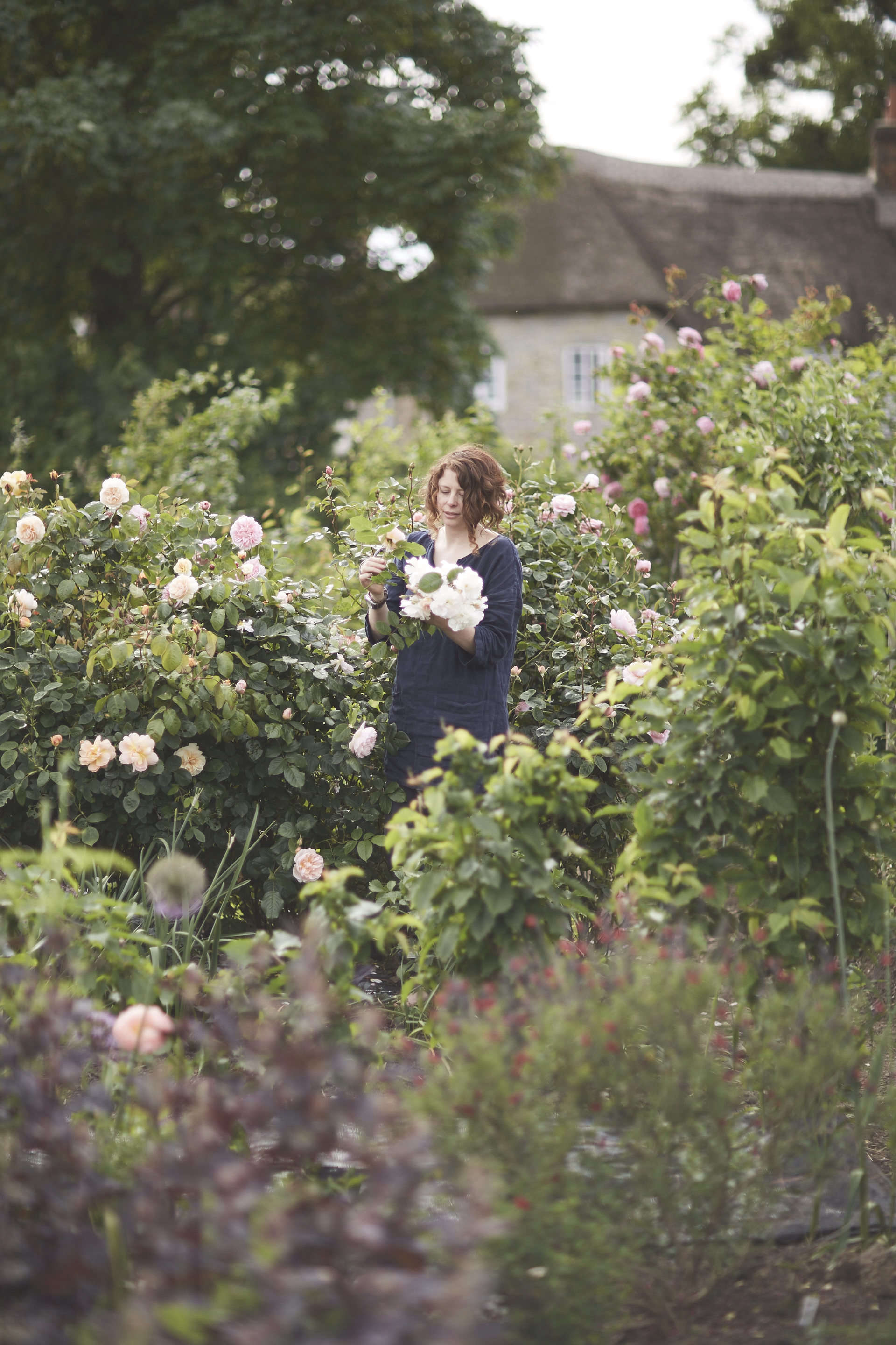 Cottage Gardens: Favorite Flowers, with Grace Alexander's Seeds ...