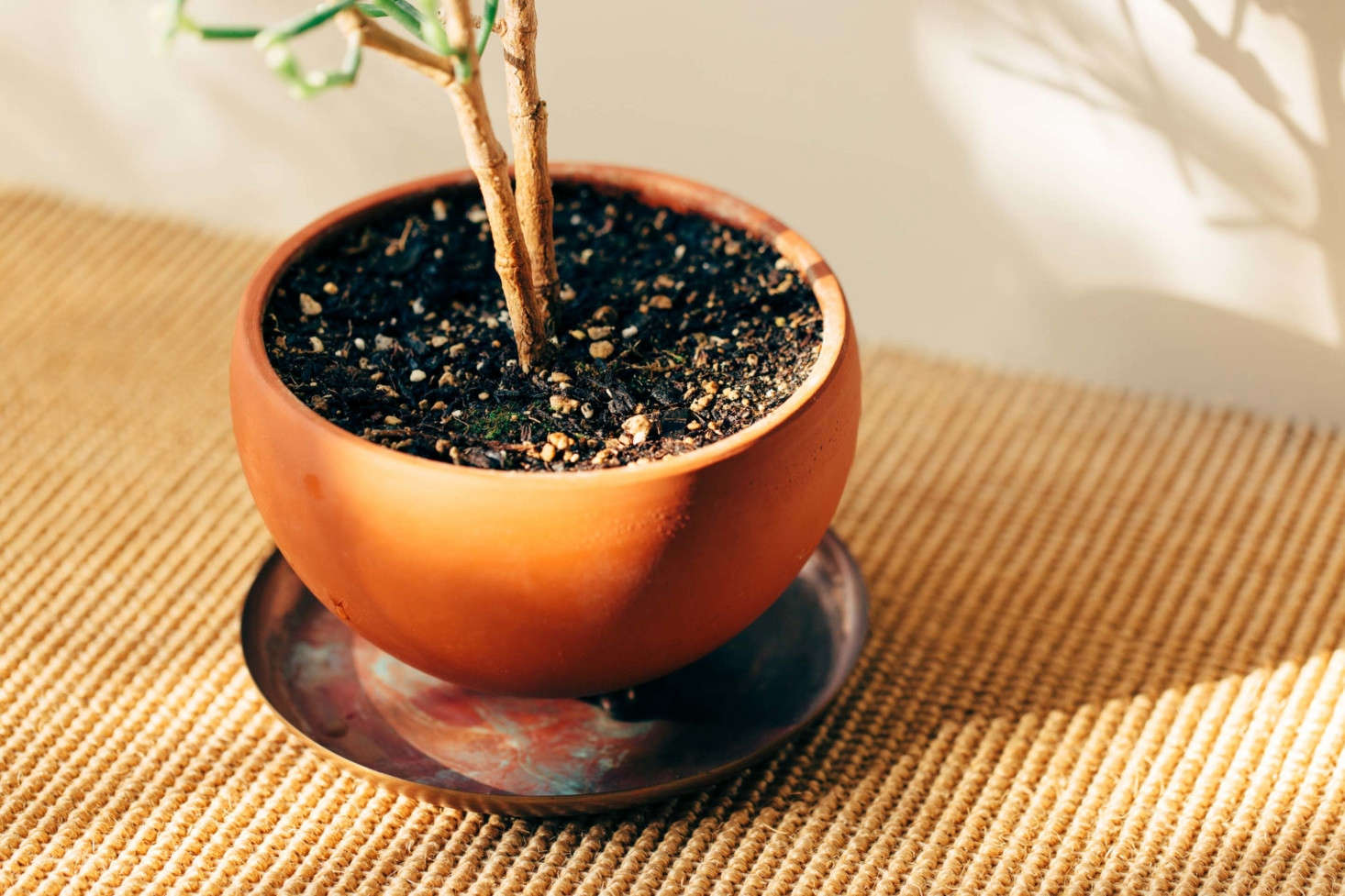 A New Twist on Terracotta Pots from a Japanese Maker: Object of Desire