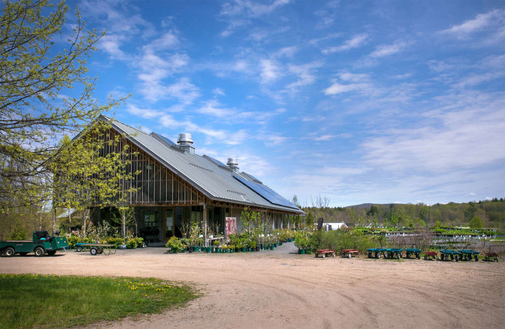 Nasami Farms: A New England Mecca for Native Plant Lovers - Gardenista