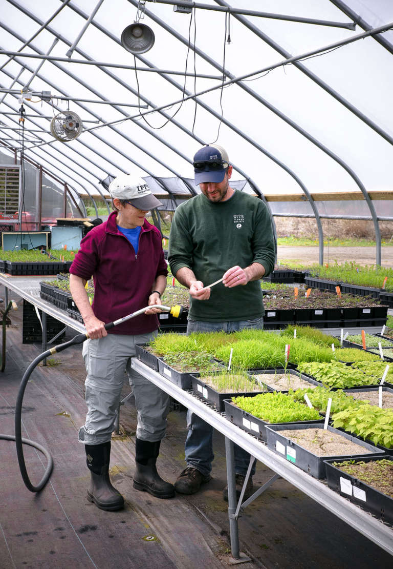 Nasami Farms: A New England Mecca for Native Plant Lovers - Gardenista